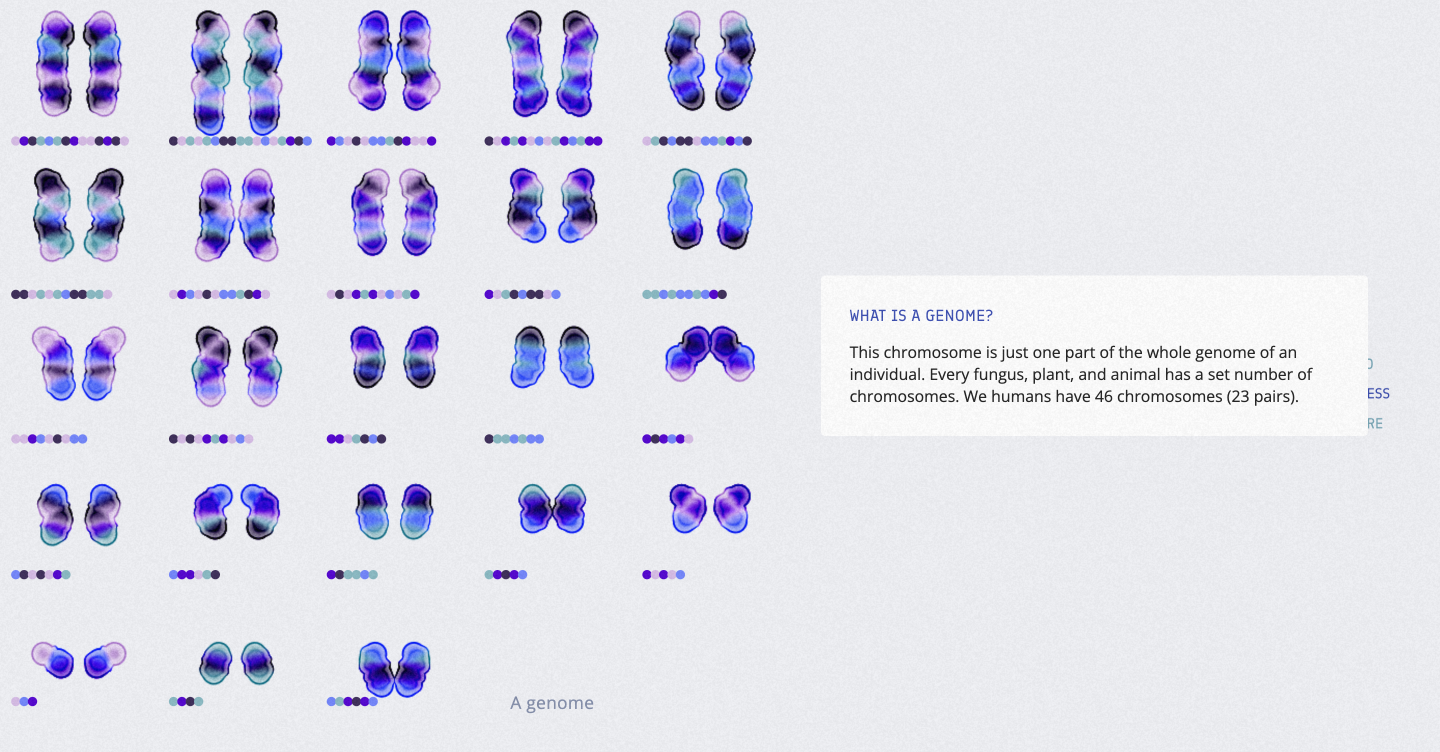 What is FinnGen – Information Design at Aalto University